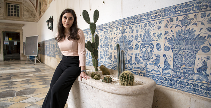 Quando um simples objeto nos revela tanto sobre o nosso cérebro