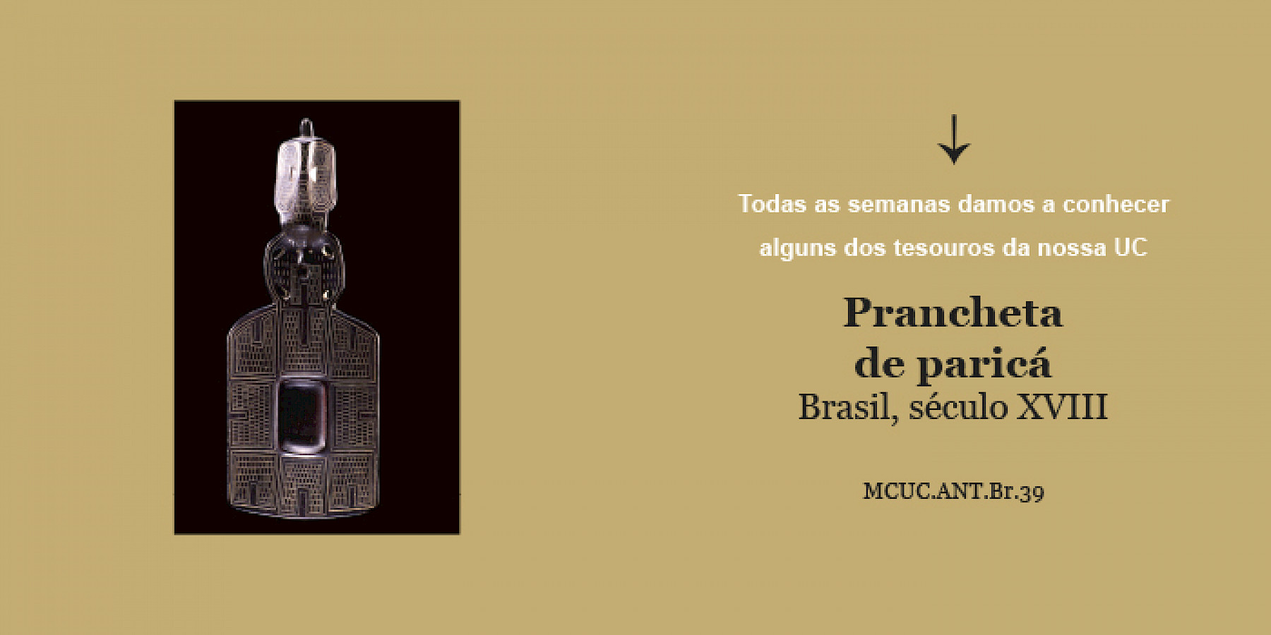 Prancheta de paricá
