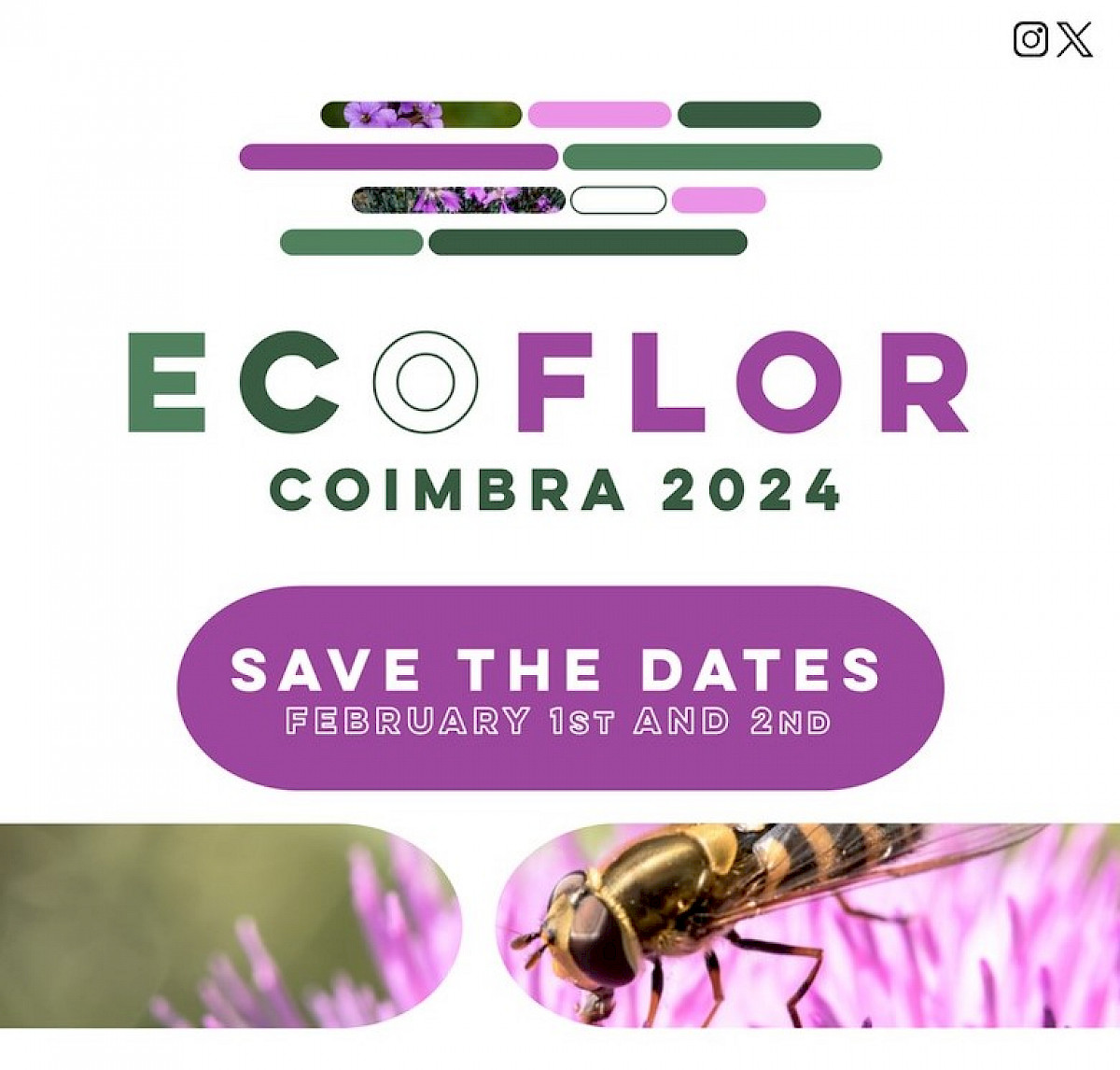 For the first time outside Spain, EcoFlor met at the DCV