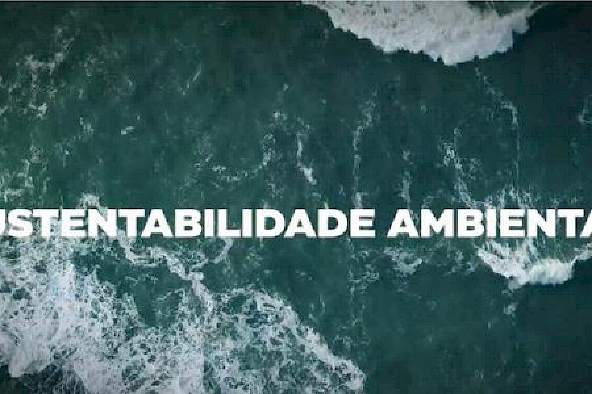 O QUE É A SUSTENTABILIDADE AMBIENTAL?