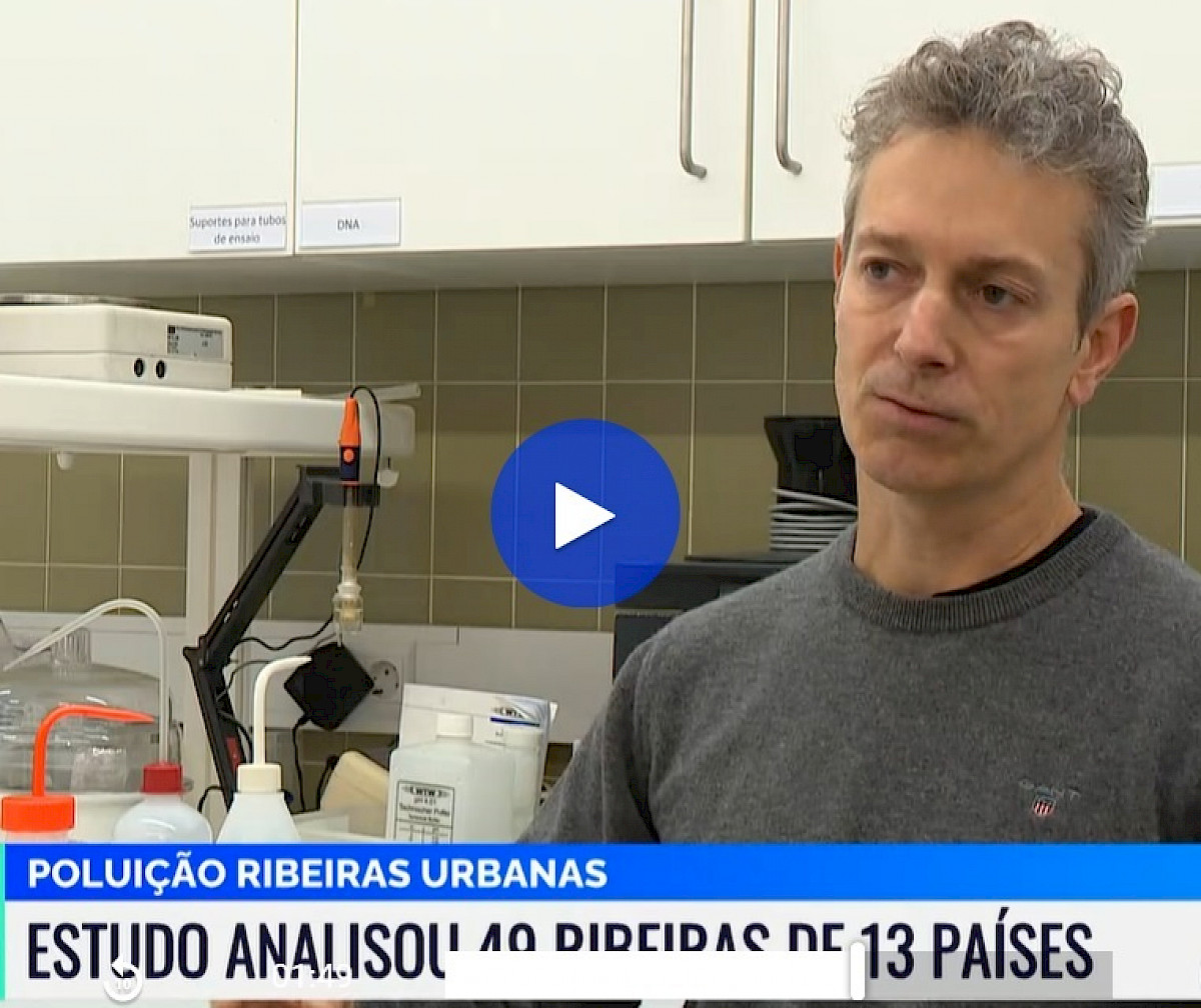 Estudo da Universidade de Coimbra conclui que ribeiras urbanas estão ...