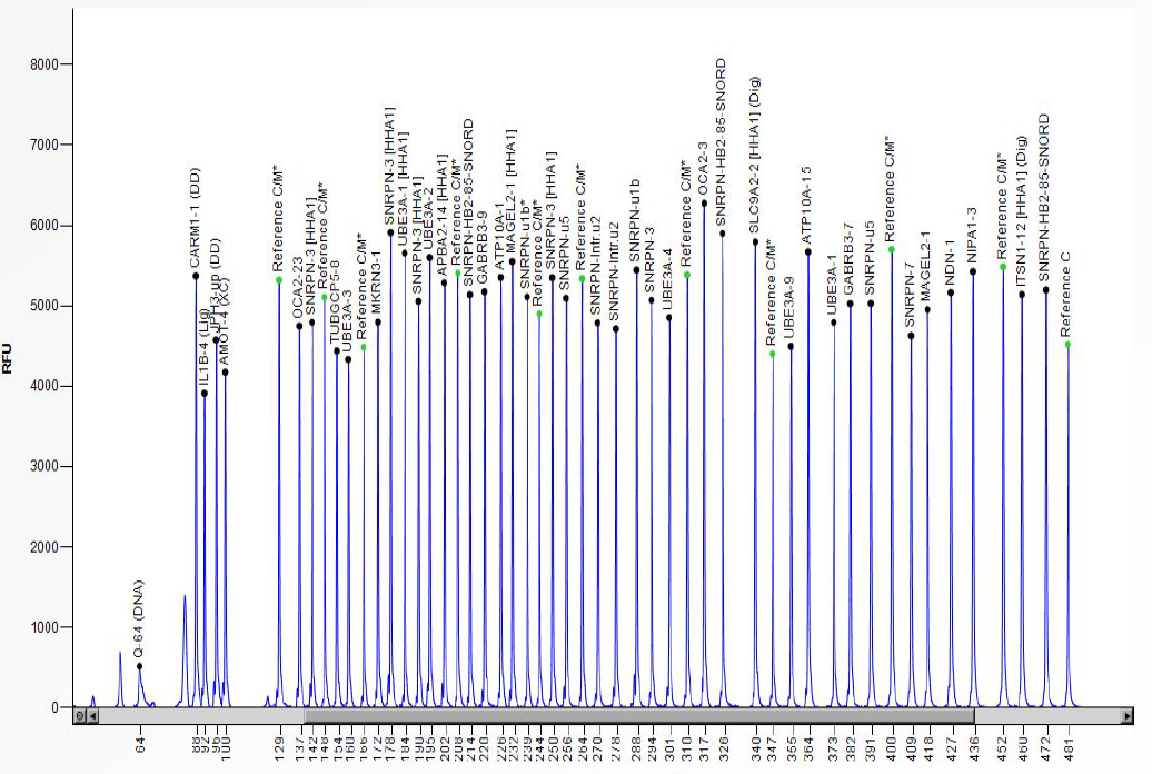 MLPA (Multiplex Ligation-dependent Probe Amplification) e MS-MLPA (Methylation-Specific MLPA)