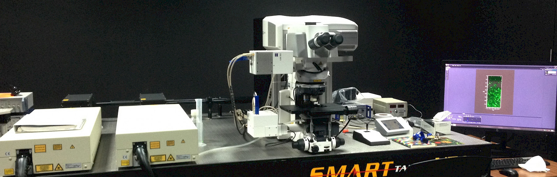 Imaging acquisition by multiphoton microscopy