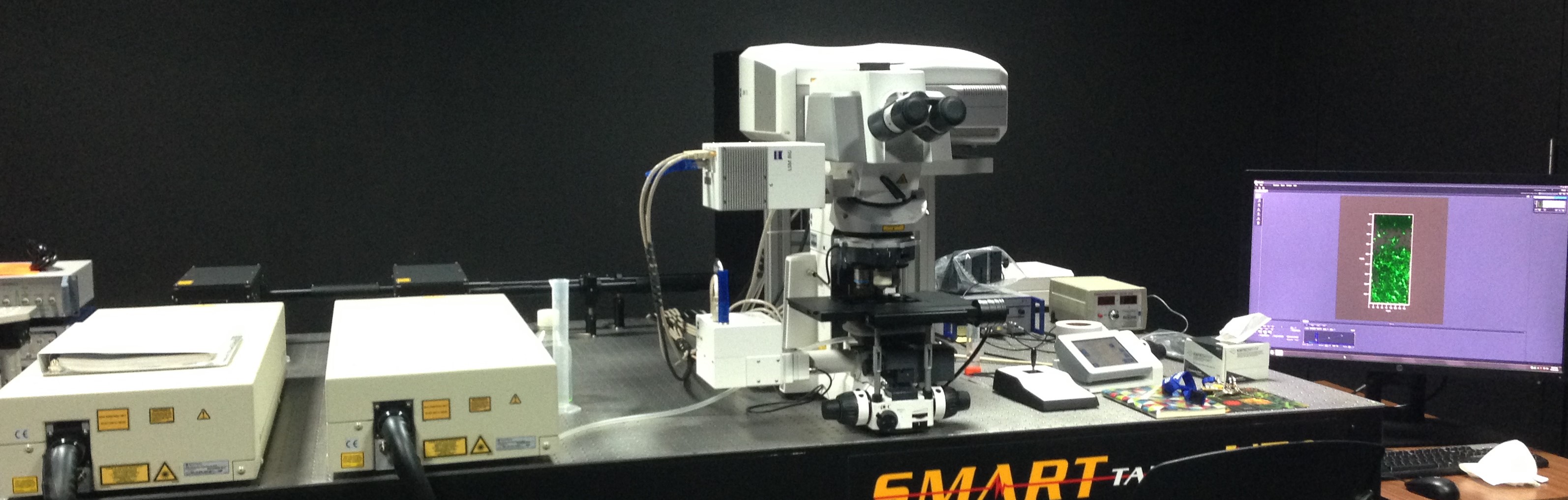 Imaging acquisition by multiphoton microscopy