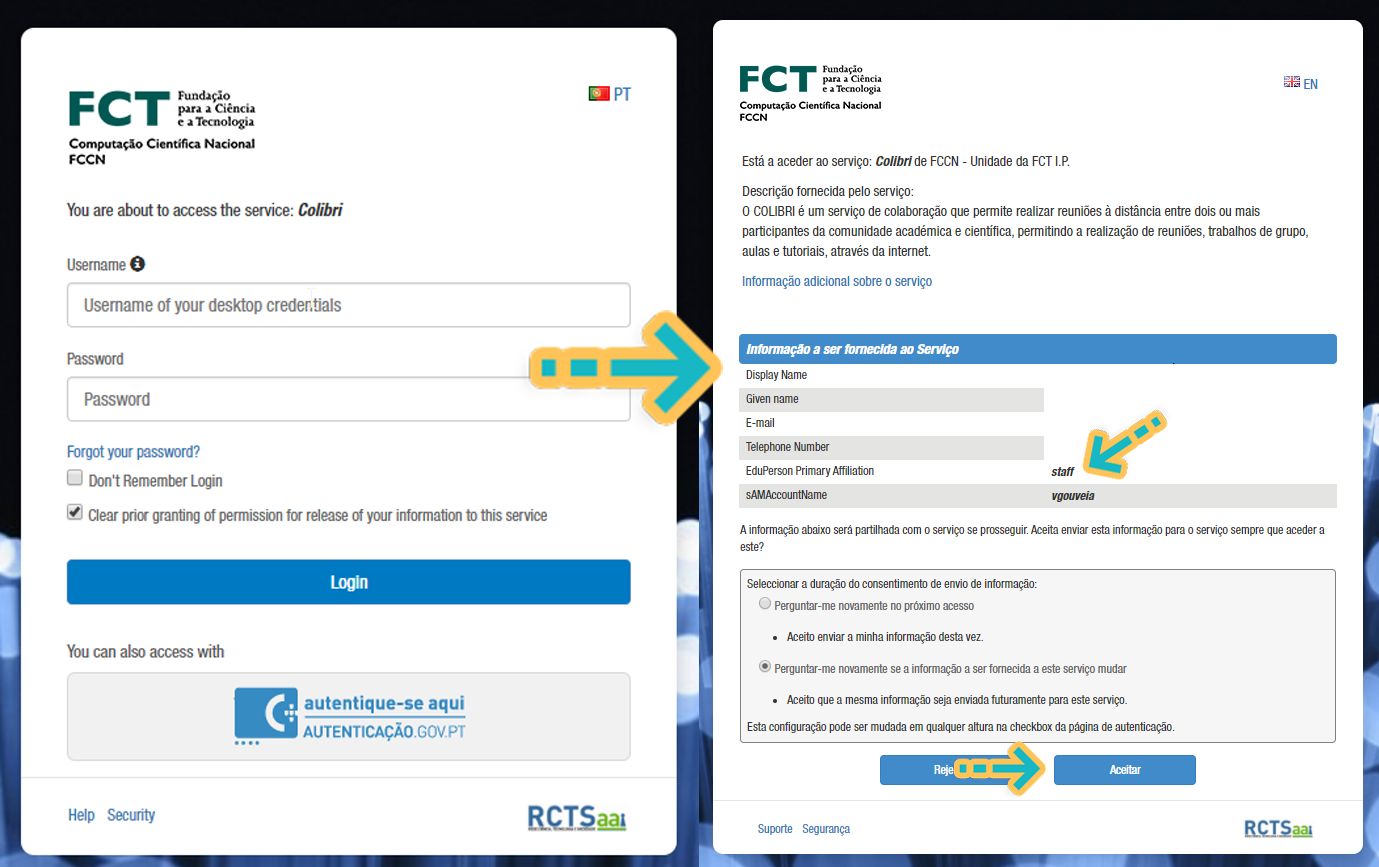 Zoom / Colibri ((video conferência)