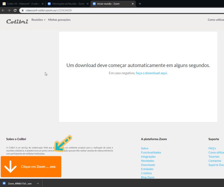 Zoom / Colibri ((video conferência)
