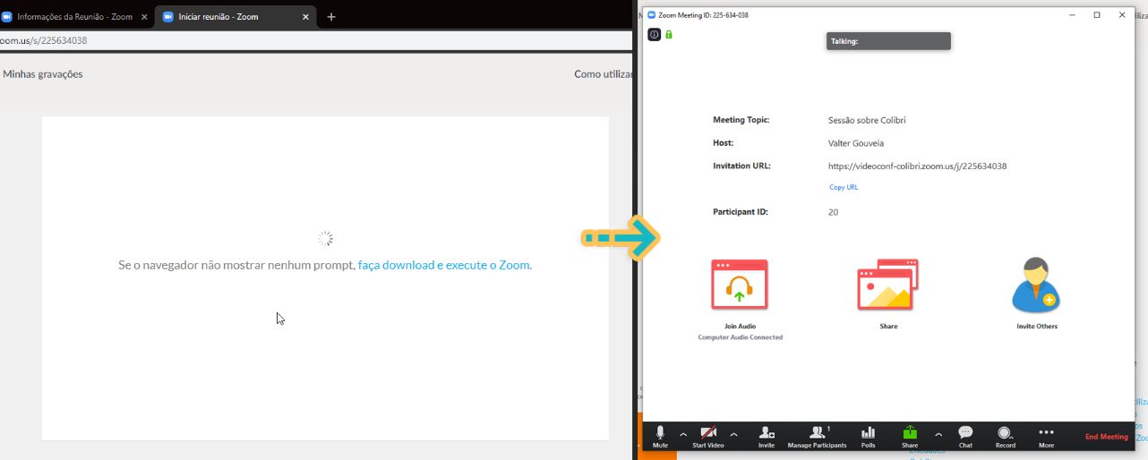 Zoom / Colibri ((video conferência)