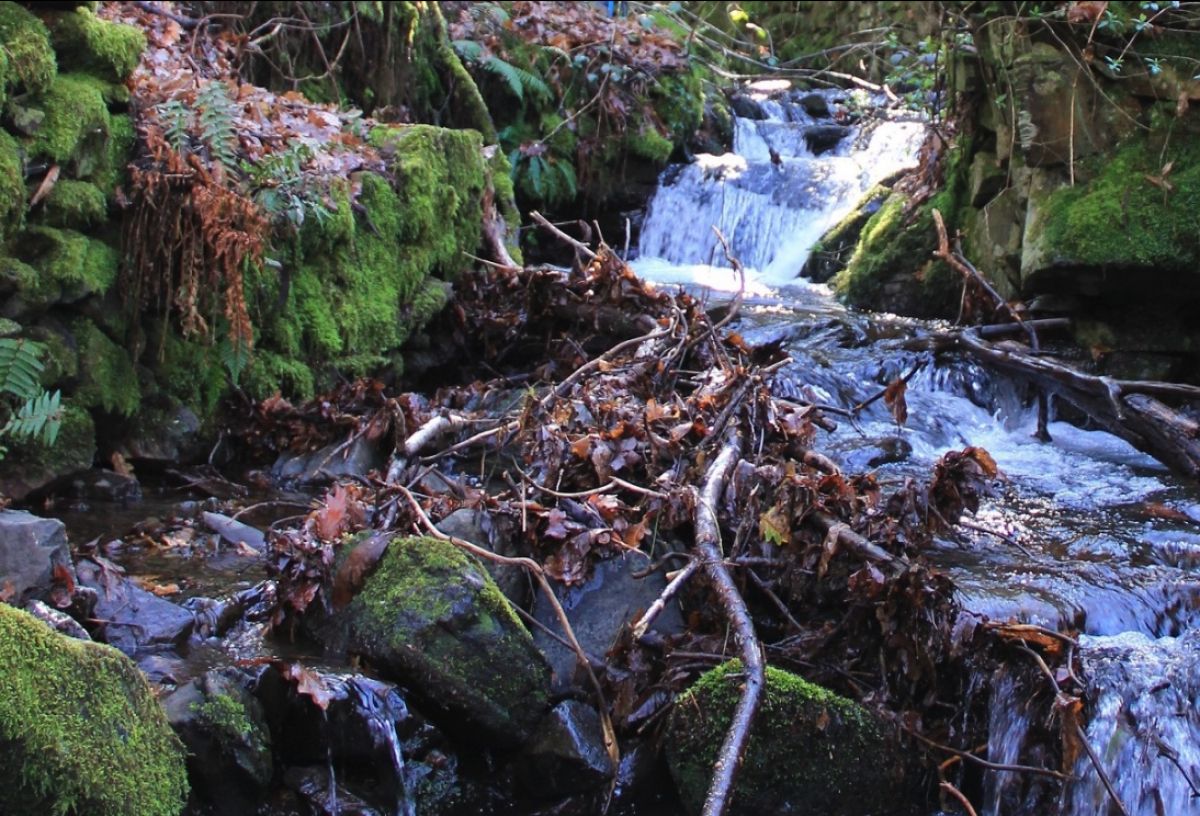 Estudo internacional alerta para o impacto das alterações climáticas na ...