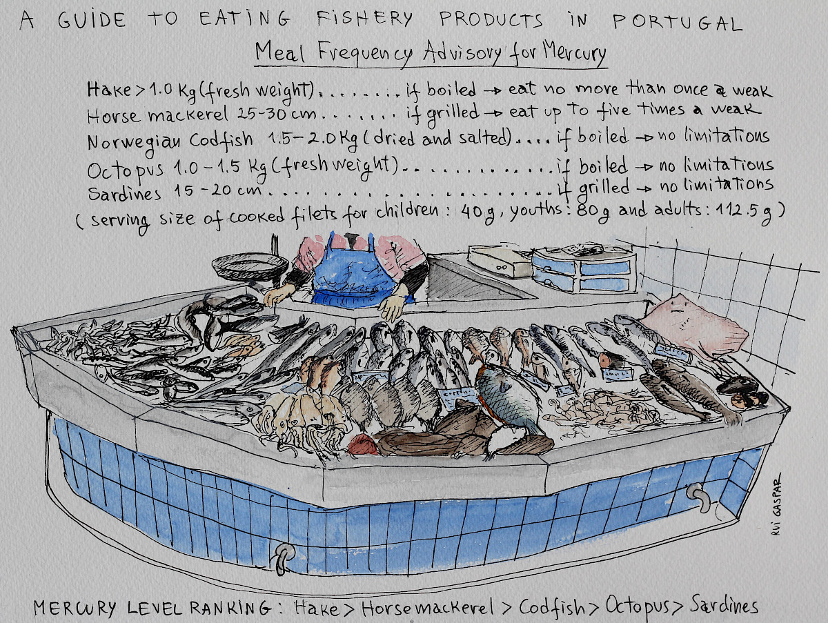 Study concludes that hake consumption may cause adverse health effects ...